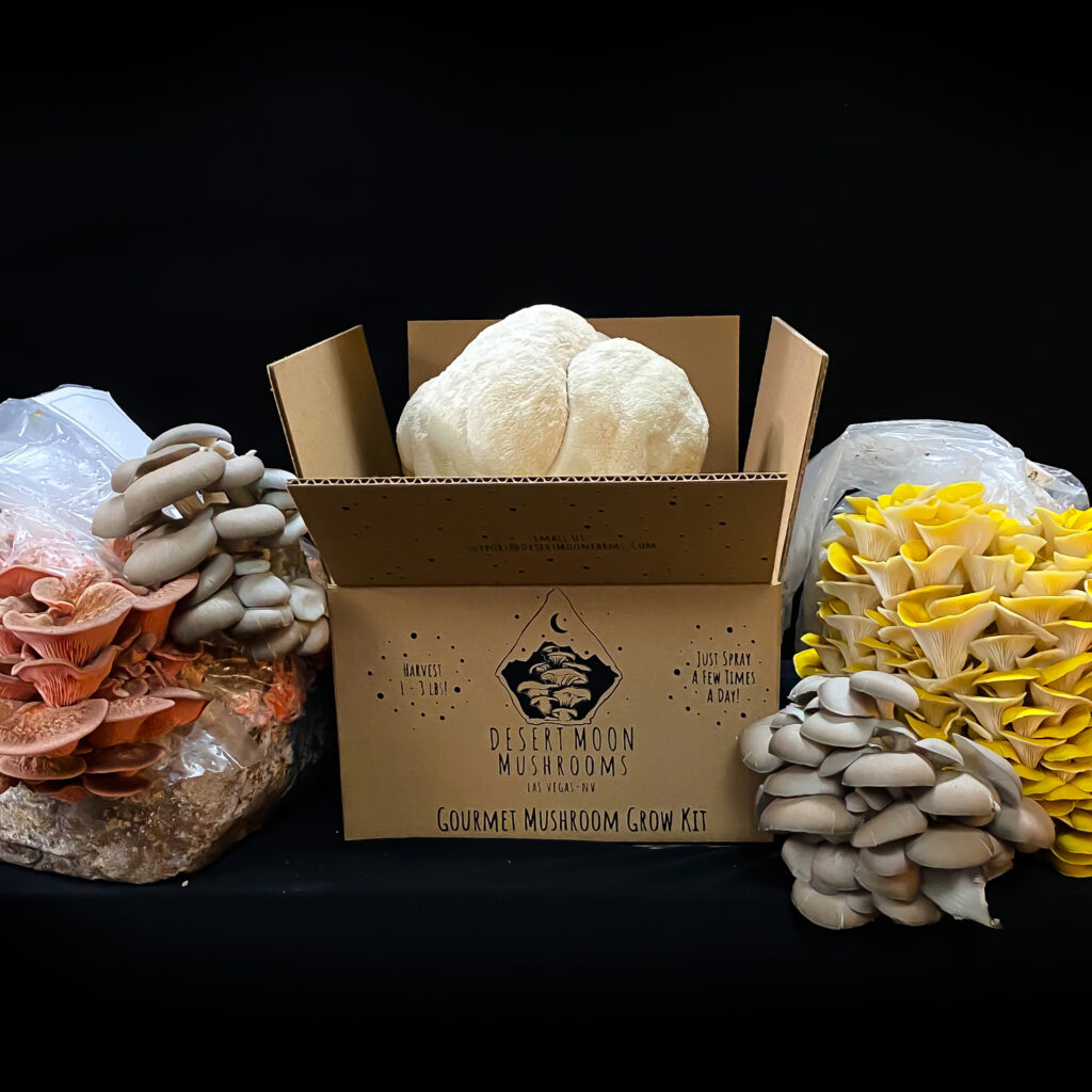 The Mushroom Shop – Desert Moon Farms