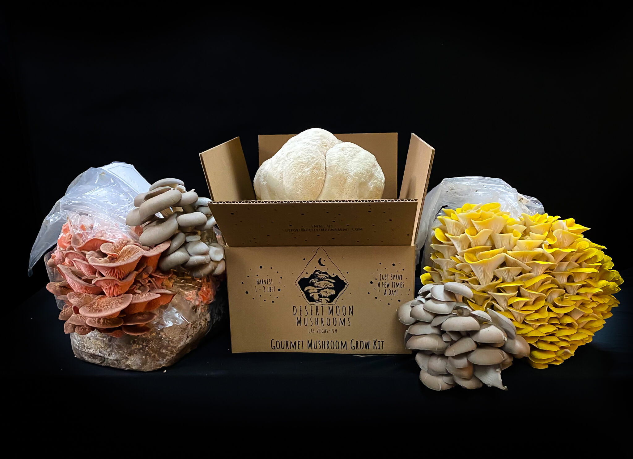 Gourmet Mushroom Grow Kit – Desert Moon Farms